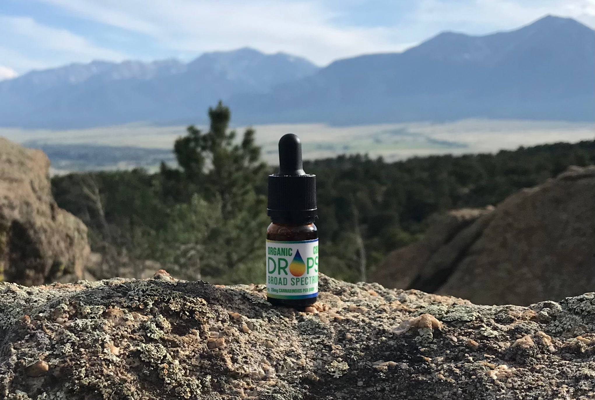 The Ultimate Guide To Cannabigerol CBG the-ultimate-guide-to-cannabigerol-cbg